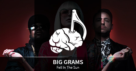 Big Grams - Fell In The Sun - Amnusique